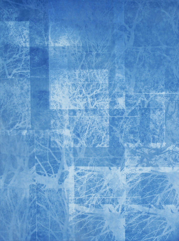 Cianotipias - Elaine Pessoa